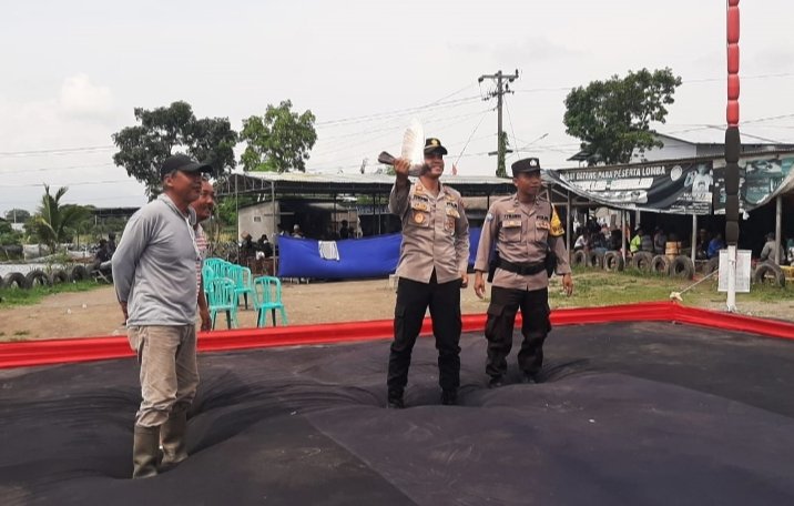 Lomba Merpati Kolong Kapolsek Muntilan Cup Diikuti Ratusan Peserta ...